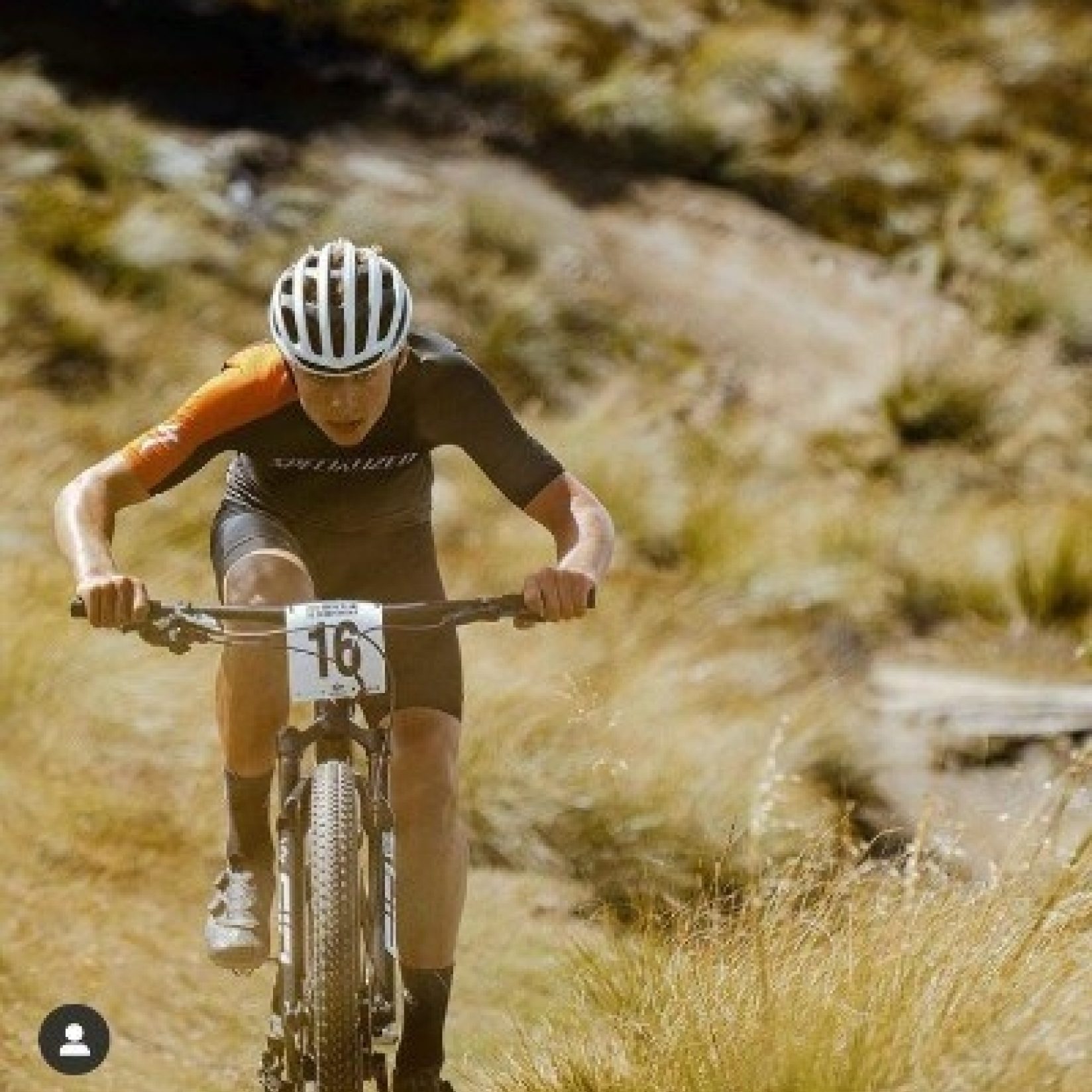 Inspire | Cam Anderson