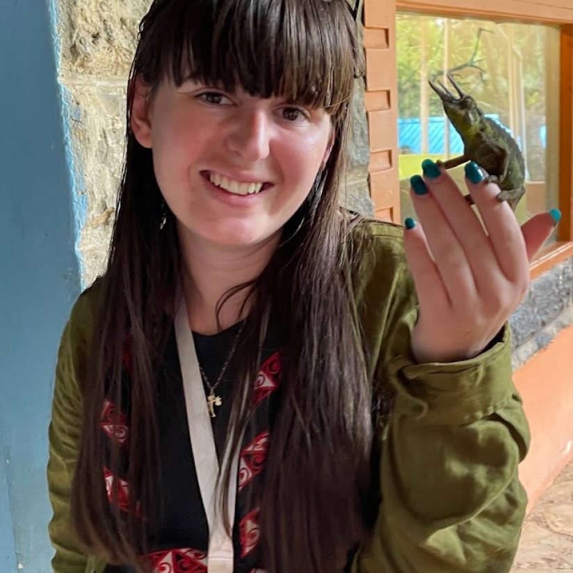 Inspire | Rachel Anderson